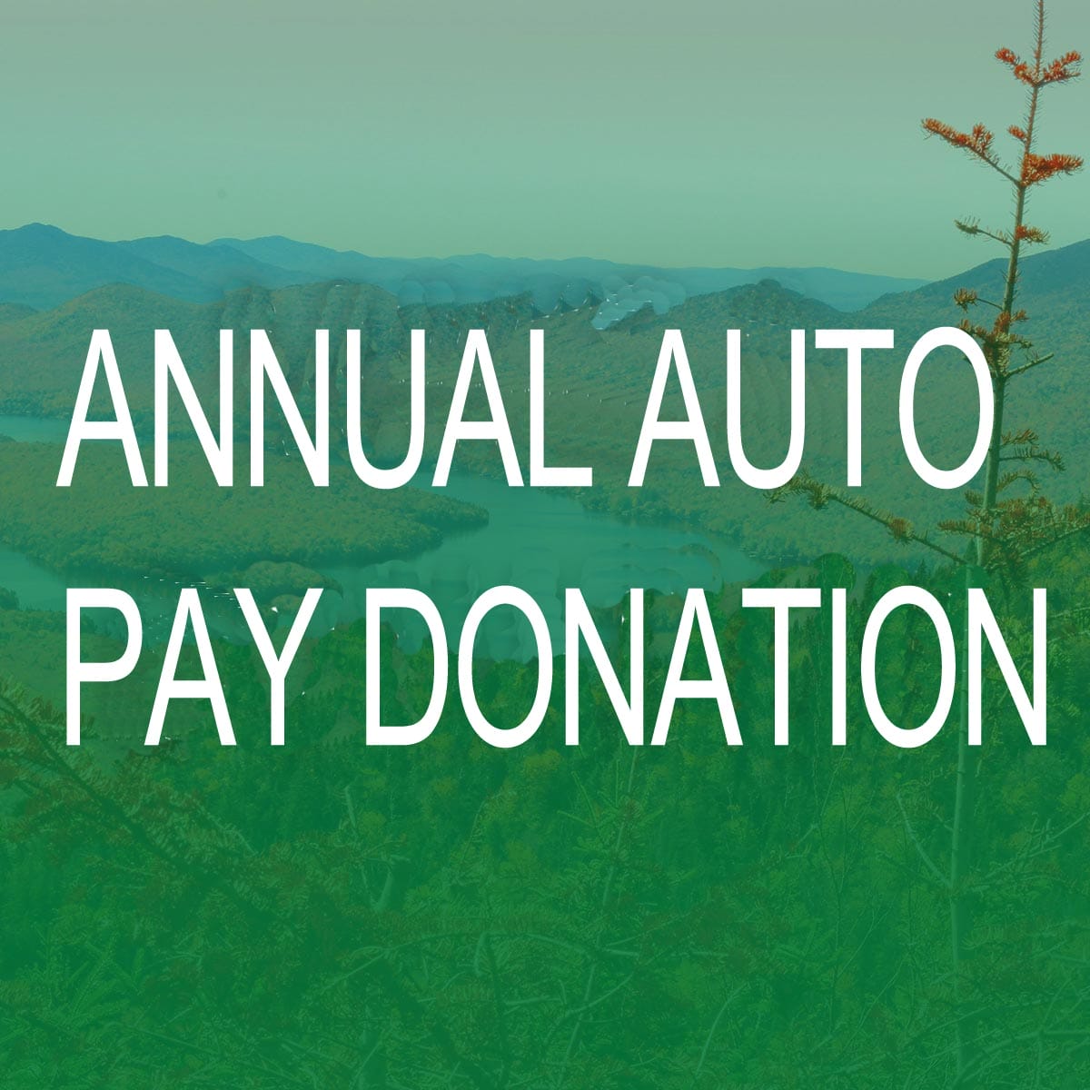 Donations – One-Time or Subscription Payment – Adirondack 46ers